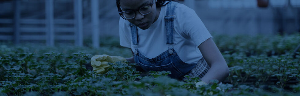 How to Avoid Gardening Injuries - Suburban Orthopaedics